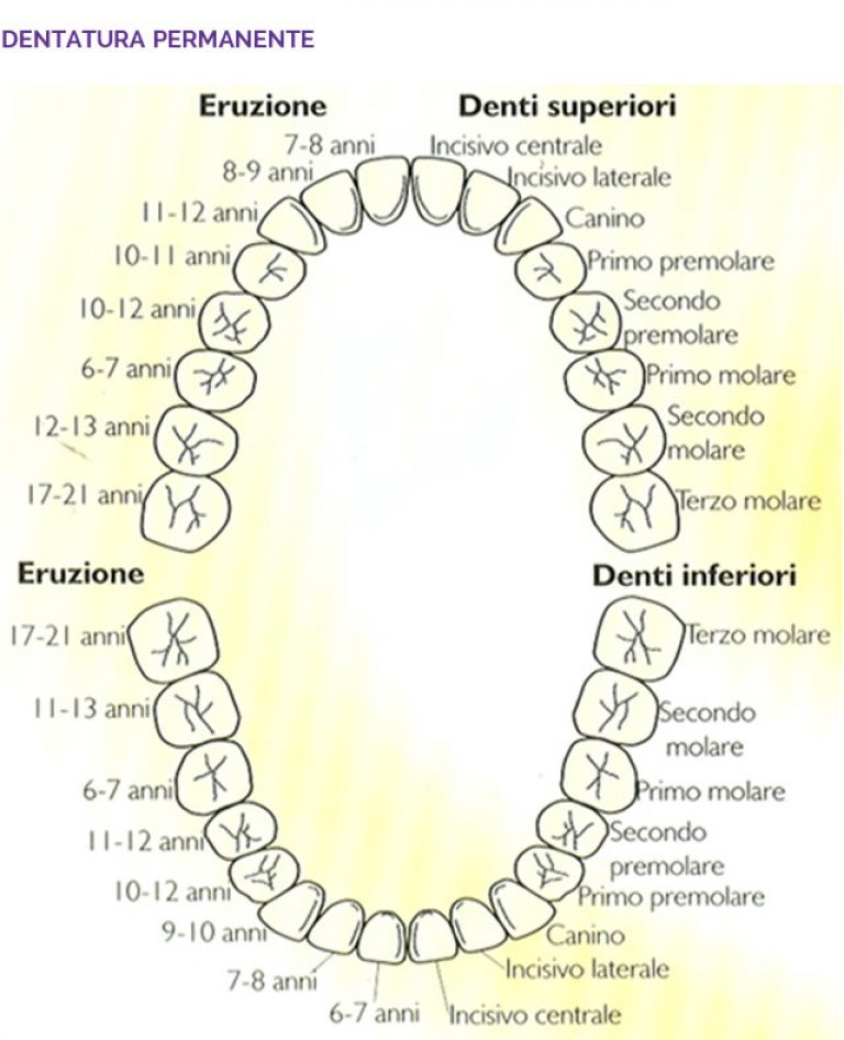 PERCHÉ SIGILLARE I DENTI DEFINITIVI DEI PROPRI BAMBINI? - Studio ...
